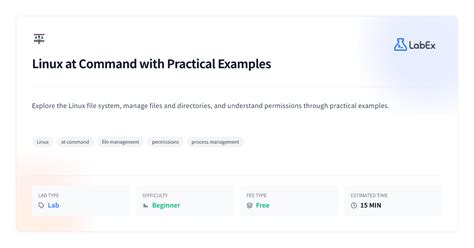Linux At Command With Practical Examples Labex