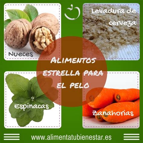 Pin En Nutrición