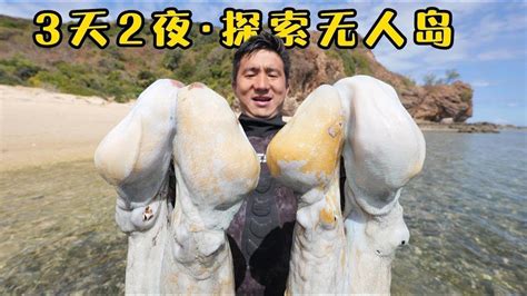 《马达加斯加》第8集：孤身荒岛探险，意外抓获巨型八爪鱼，还有数不尽的大龙虾，收获震撼！抓龙虾 无人岛 荒岛探索 海钓 潜水 荒岛