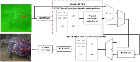 fractional wavelet multi level decomposition method for enhancing