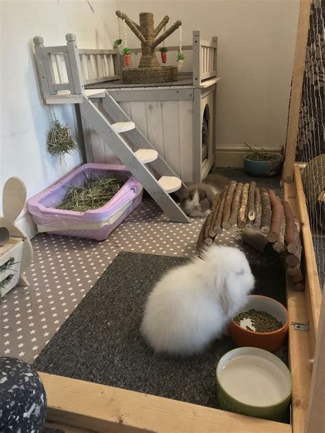 Housing Your Rabbit Indoors Rabbit Cages Bunny Condos 57 Off