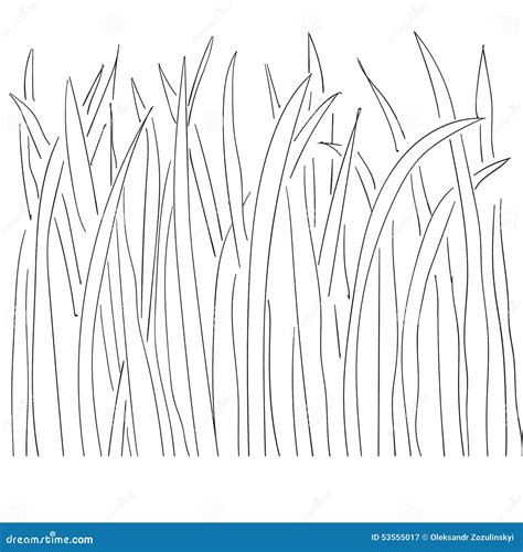Illustration Of Grass And Plant Outlines Stock Vector Illustration Of