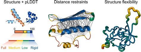 Integrating Alphafold Plddt Scores Into Cabs Flex For Enhanced Protein