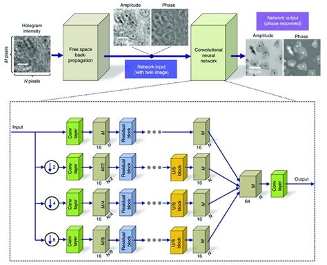 Cnn Architecture To Recover Complex Value Information Of The Object 59 Download Scientific