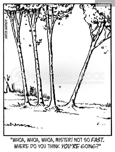 Falling Tree Cartoons And Comics Funny Pictures From CartoonStock