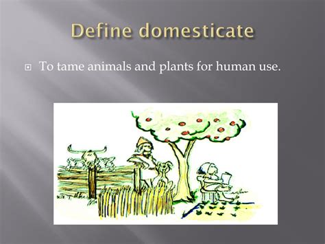Ppt Early Human Ppt Flashcards Powerpoint Presentation Free Download