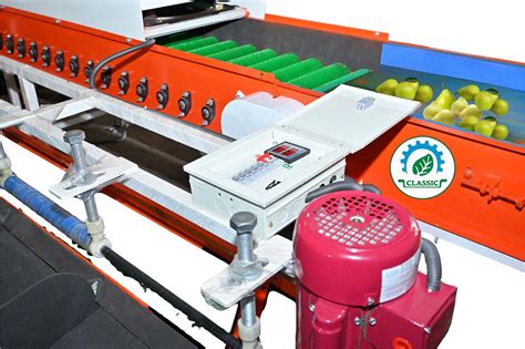 Fruit Grading Machines Classic Agro India