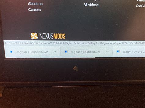 What Does This Mean The Mods Dont Work When I Put Them In My Mods File And There Is No File To