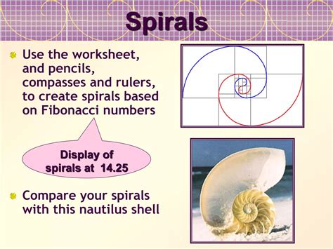 Fibonacci Feb10ppt Free Download