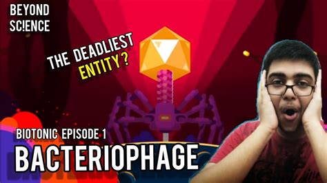 The Most Deadliest Entities Bacteriophage What Are They Beyond