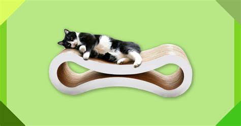 Cat With Body Pillow Meme Hot Sale