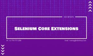 Selenium Core Extensions H2K Infosys Blog
