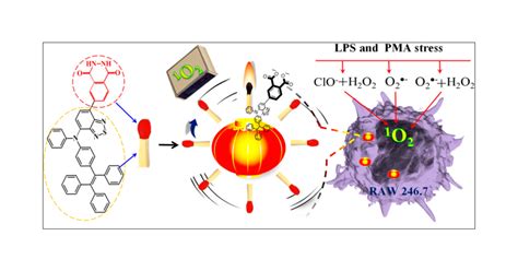 An Aggregation Induced Emission Nanosensor For Real Time
