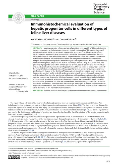 Pdf Immunohistochemical Evaluation Of Hepatic Progenitor Cells In