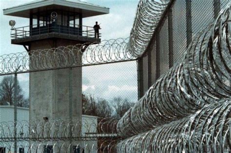МОНГОЛ УЛСЫН 174 ИРГЭН ГАДААДАД ЯЛ ЭДЭЛЖ БАЙНА