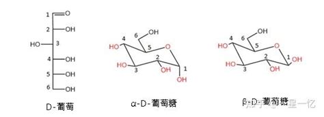 单糖葡萄糖结构特点 知乎