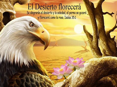 Agosto 2012 Las Cartas De Magie