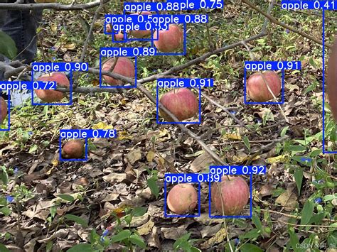 基于yolo11深度学习的果园苹果检测与计数系统设计与实现【python源码pyqt5界面数据集训练代码】 Csdn博客