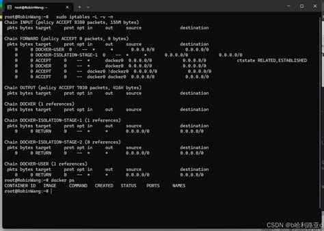 使用ubuntu on windows安装docker csdn博客