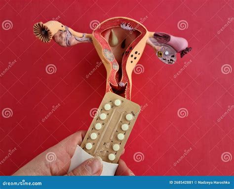 Gynecologist Holding Female Genital Organ And Contraceptives Stock Image Image Of Aids Birth