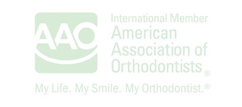 About Dr Robert Wei Wei Orthodontics