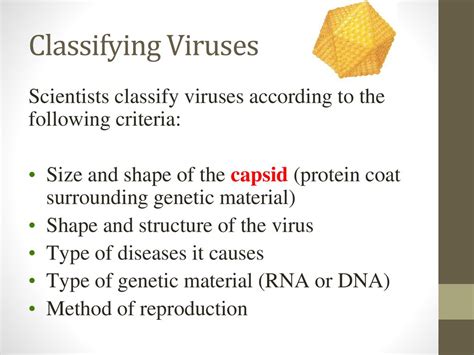 2 1 A Microscopic Look At Life S Organization Ppt Download