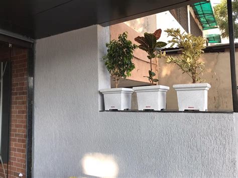 Window Box Planter At ₹ 2400piece Naroda Road Ahmedabad Id