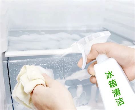 配方参考 赋予冰箱洗涤剂产品绿色天然温和高效生物酶等卖点提升市场竞争力 拓新化工