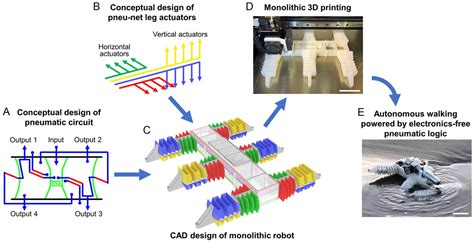 Monolithic Desktop Digital Fabrication Of Autonomous Walking Robots Zhai 2025 Advanced