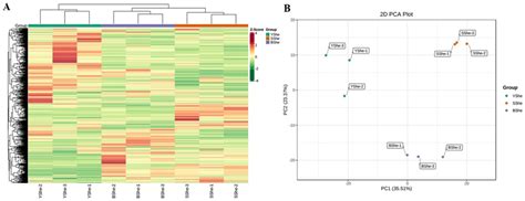 Qualitative And Quantitative Analysis Of The Metabolomics Data Of Three Download Scientific