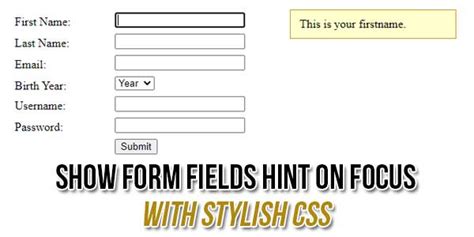 Show Form Fields Hint On Focus With Stylish Css Exeideas Lets Your