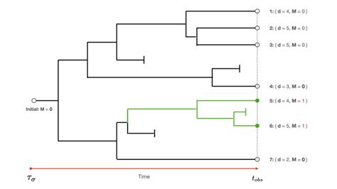 Binary Tree Formed By A Developing Clonotype Showing Examples Of Cell Download Scientific