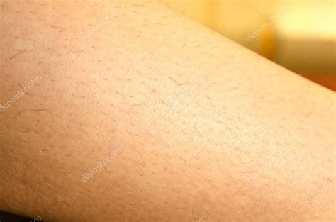 Teen Girl Hairy Legs Telegraph