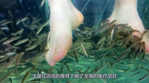 美女做鱼疗太舒服，没忍住做了这事，结果小鱼全翻白肚皮！ Youtube