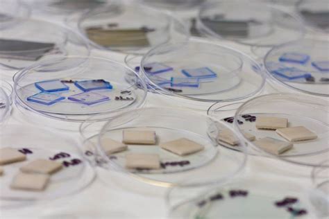 Disinfectant Efficacy Testing Det