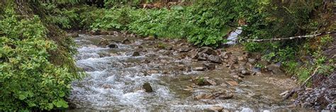 Hydrology Group At Unil
