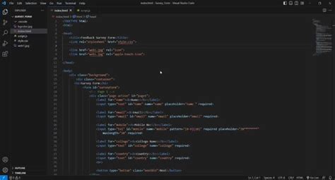 Video Vaishnavi Somani On Linkedin Internship Task1 Codealpha