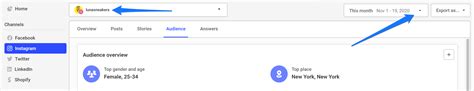Analyzing Your Audience Buffer Help Center