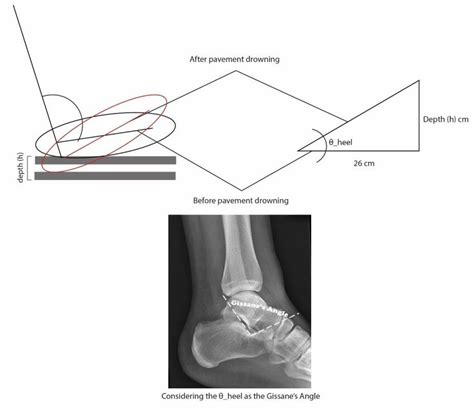 22 Graphical Observation Of Heel Angle Changes For Module Drowning Download Scientific Diagram