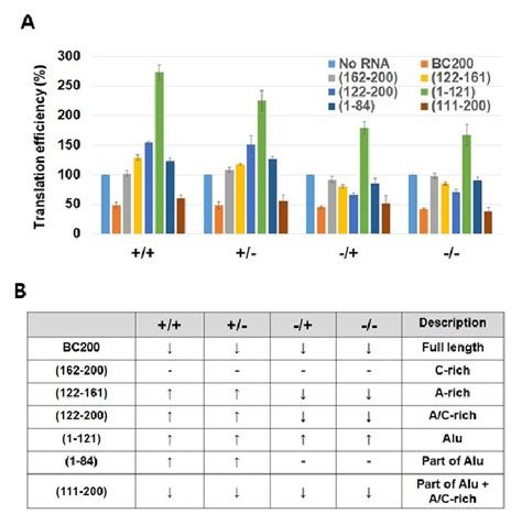 Different Effects Of Bc200 Rna Variants On In Vitro Translation
