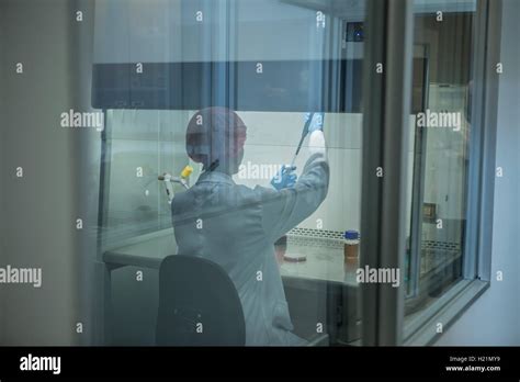Scientist Pipetting In Lab Stock Photo Alamy
