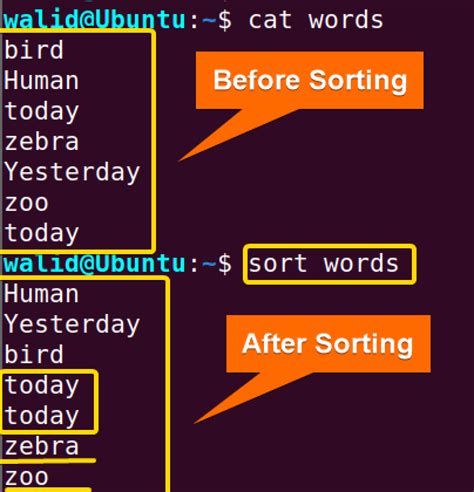 The “sort” Command In Linux 16 Practical Examples
