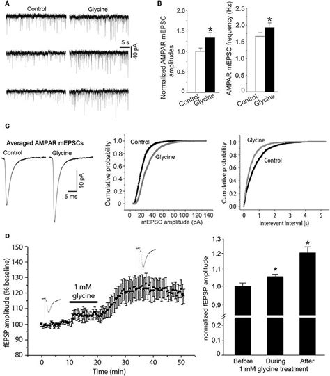Glycine Enhances Ampar Mediated Synaptic Currents Independent Of Nmdar