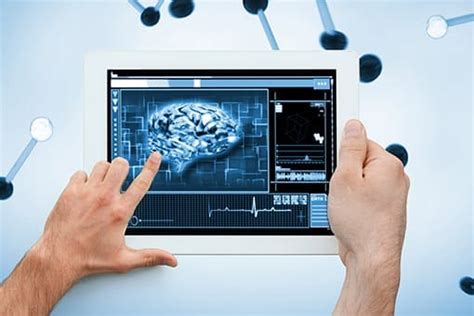 Cognitive Performance Test Tampa Brain Function Test Tampa