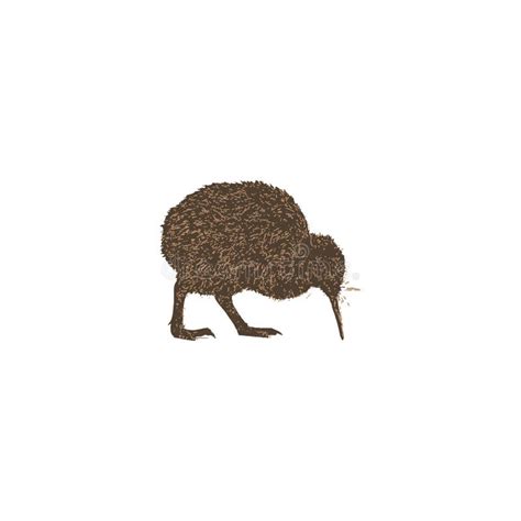 ícone De Pássaro Kiwi Modelo Simples Agência De Viagens Africano