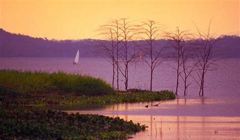 Parque Lago Naturaleza Deporte Y Familia En Guayaquil