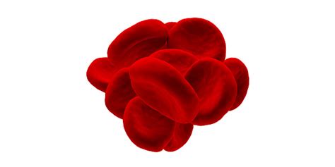 백색 배경에 고립된 높은 세부적인 혈액 세포 적혈구 의료 및 의료 줌 개념 3d 렌더링 과학에 대한 스톡 사진 및 기타 이미지