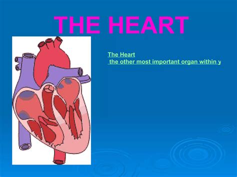Human Body Ppt