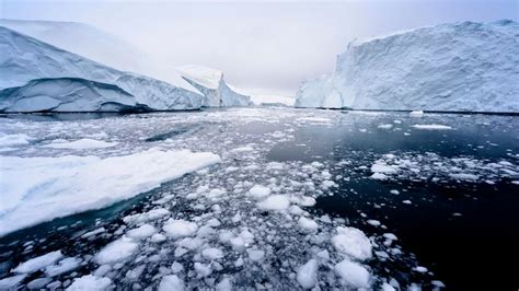 Global Warming Could Be Reversed By Refreezing Poles And Would Be